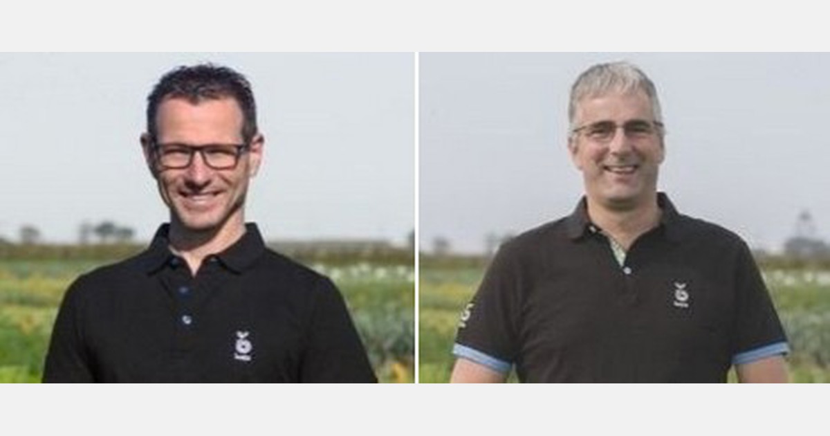 Peter Buter nieuwe verkoopmanager Benelux en Scandinavië bij Bejo