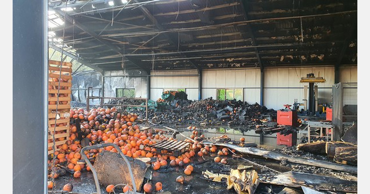 De Terp Pompoenen een jaar na de brand weer terug met nieuwbouw op oude locatie