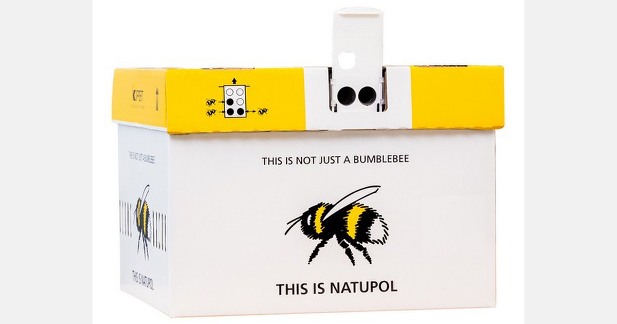 'Hommelhuis' voortaan extra duurzaam