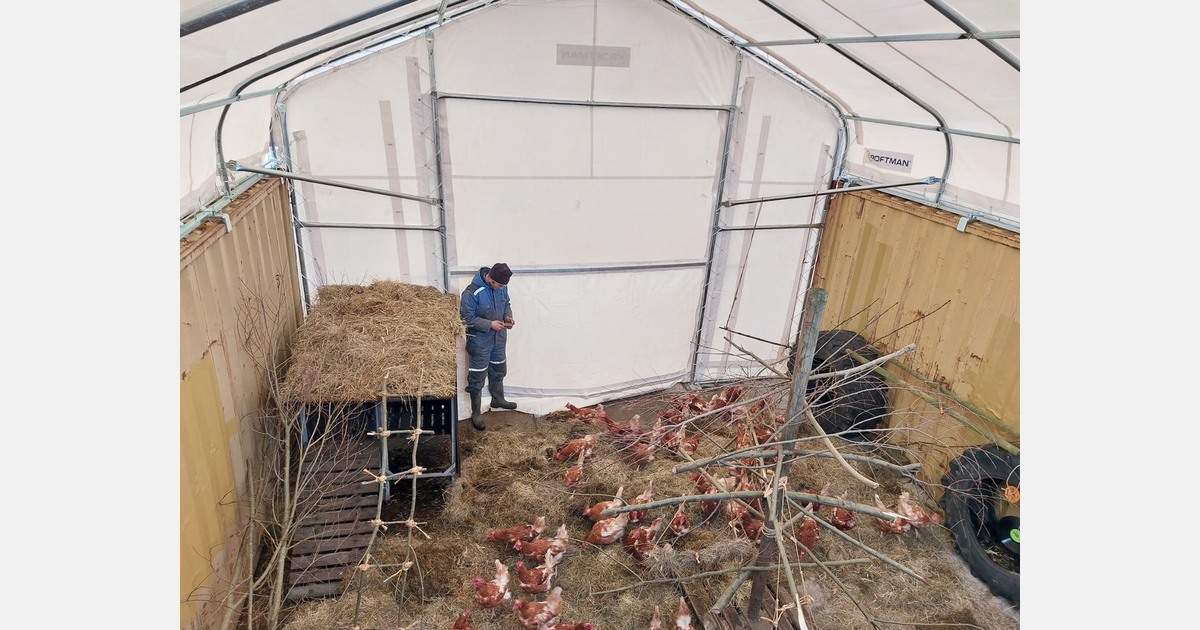 Speeltuin voor opgehokte kippen