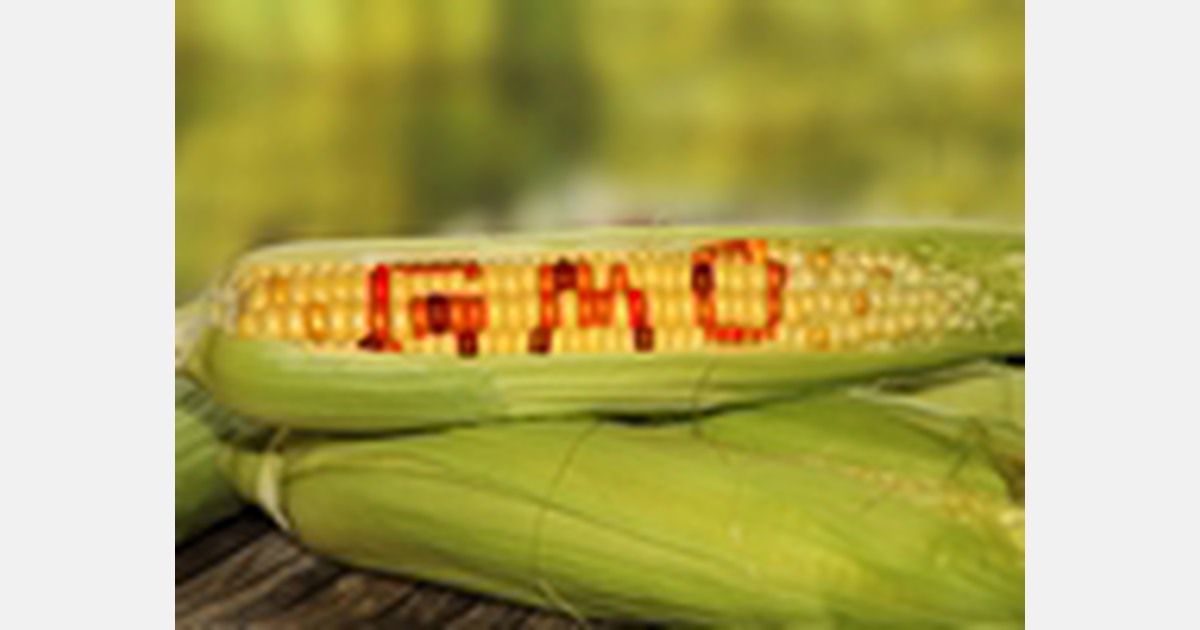 "GGO's zetten biodiversiteit en bio-landbouw onder druk"