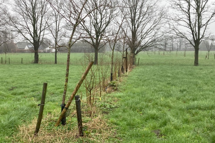 Agroforestry Netwerk Utrecht: voor meer natuurinclusieve landbouw
