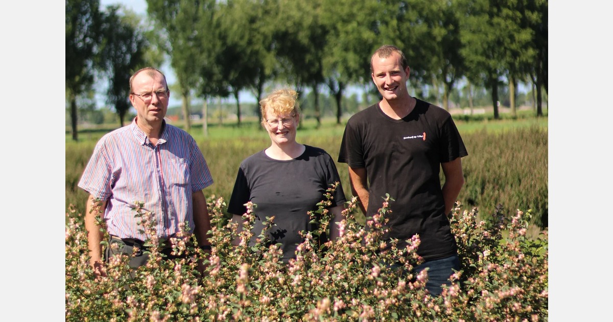 Bijeenkomst snijbloemen Biologische Sierteelt Nederland: 28 juni in Nederhemert