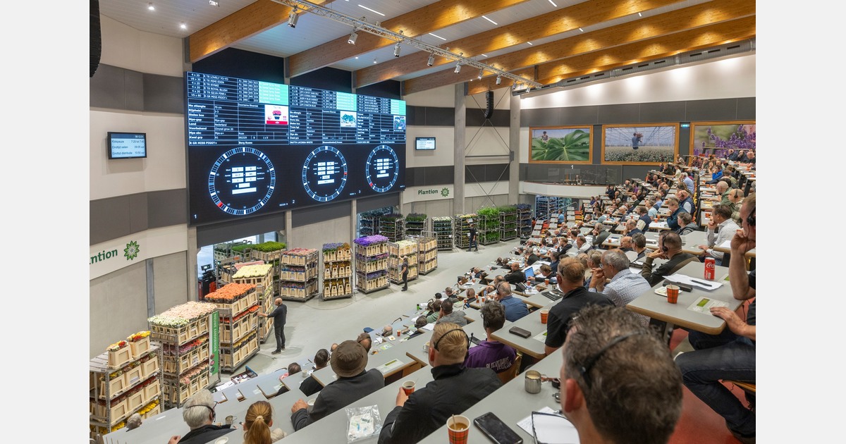 "Wij vormen de brug tussen interne processen en marktontwikkelingen"