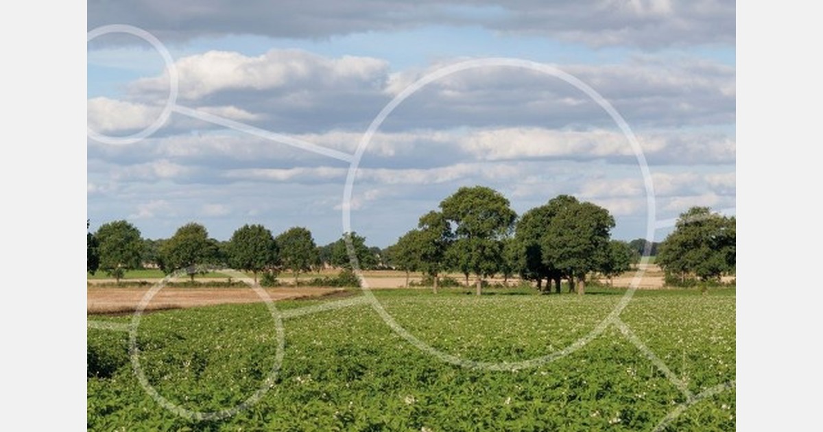 Louis Bolk Instituut sloot 2024 af met nettoresultaat van 560.000 euro