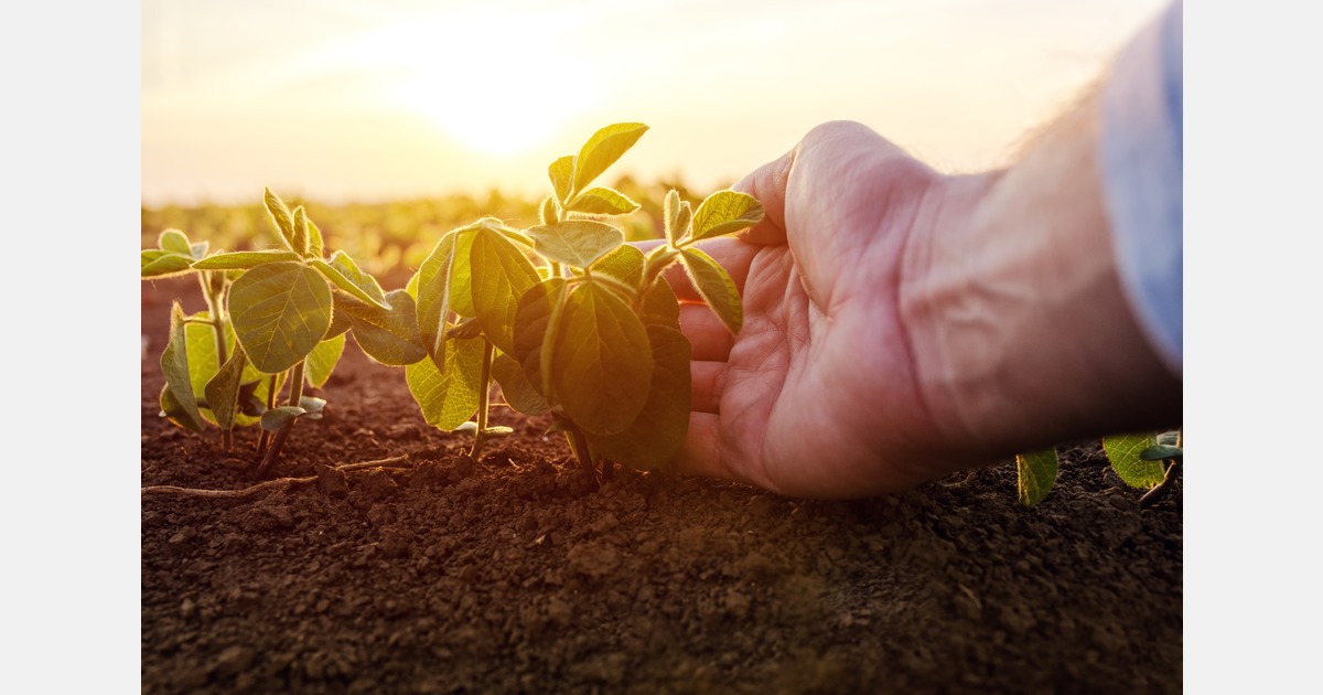 ReGeNL zet in op 100 regeneratieve koplopers in 2031