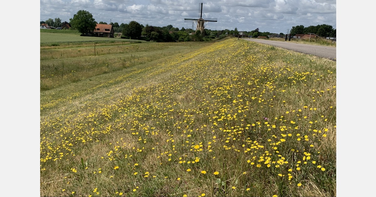 "Water Natuurlijk blijft aandringen op veilige bloemdijken, daar past ...