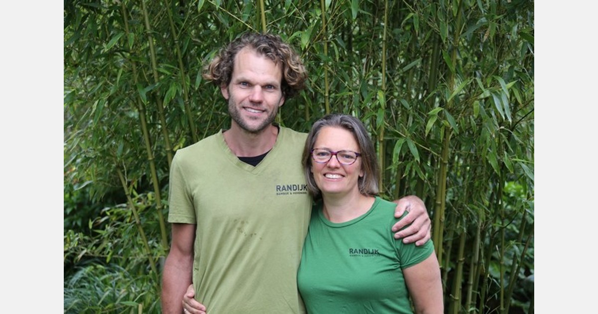 Erwin Kooijman kweekt al meer dan 20 jaar bamboe
